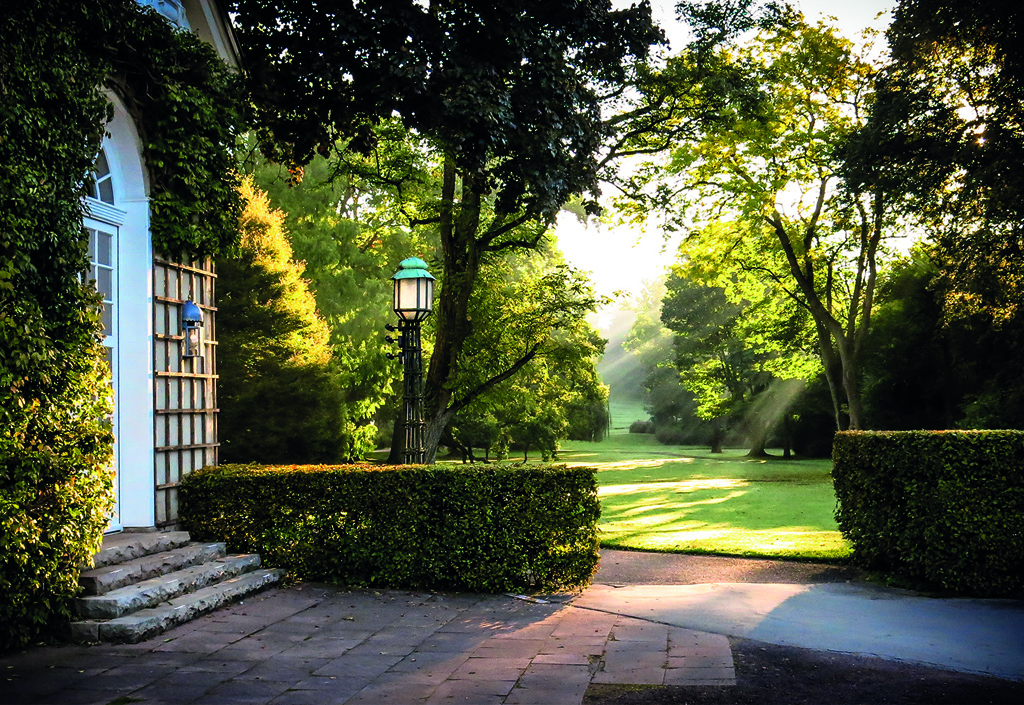 Gräflicher Park Bad Driburg – English landscape garden